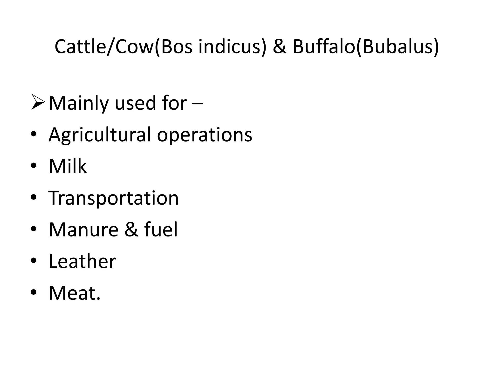Domestication of animals..pptx
