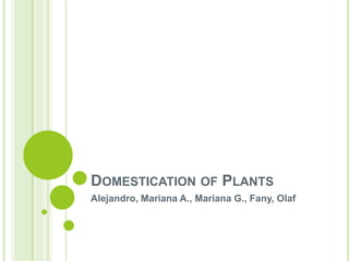 Domestication of plants | PPTX