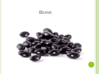 Domestication of plants | PPT