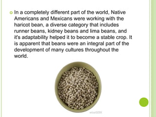 Domestication of plants | PPT