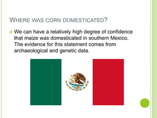 Domestication of plants | PPT