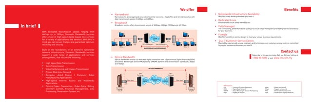 Domestic bandwidth | PPT