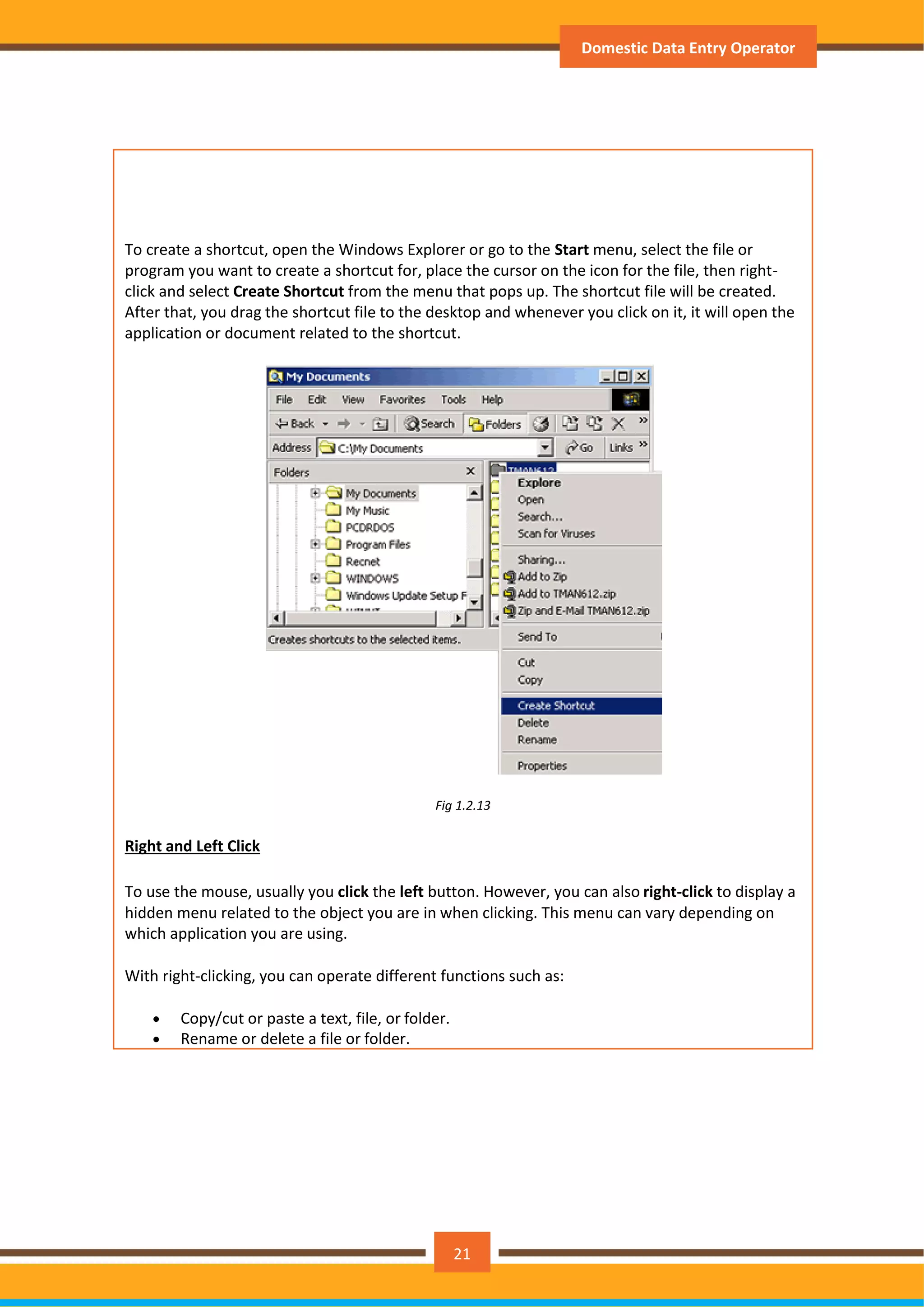 Domestic Data Entry Operator.pdf