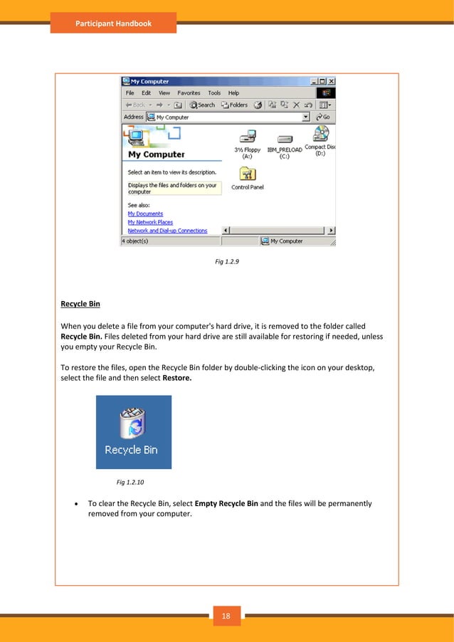 Domestic Data Entry Operator.pdf