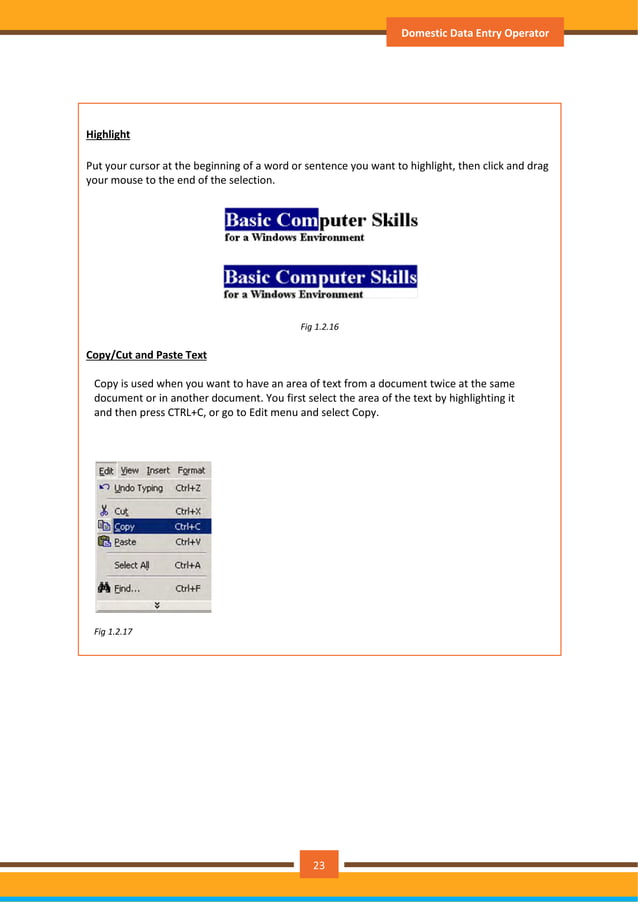 Domestic Data Entry Operator.pdf