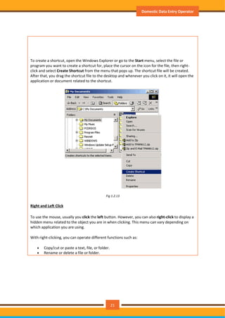 Domestic Data Entry Operator.pdf