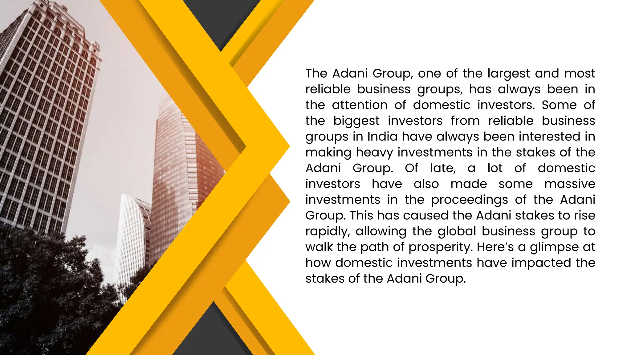 Domestic Investments Cause Rise in Adani Group Stakes | PPTX