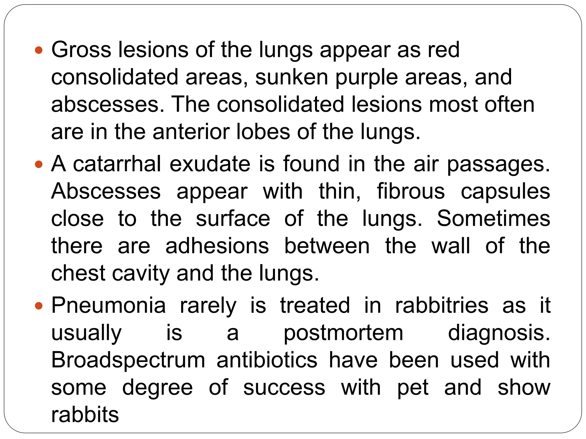 Domestic Rabbits Pasteurellosis.pptx
