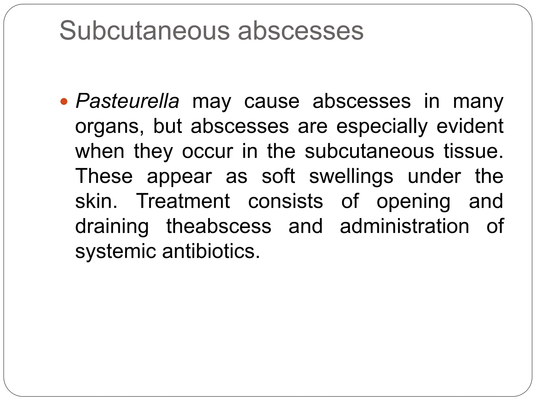 Domestic Rabbits Pasteurellosis.pptx