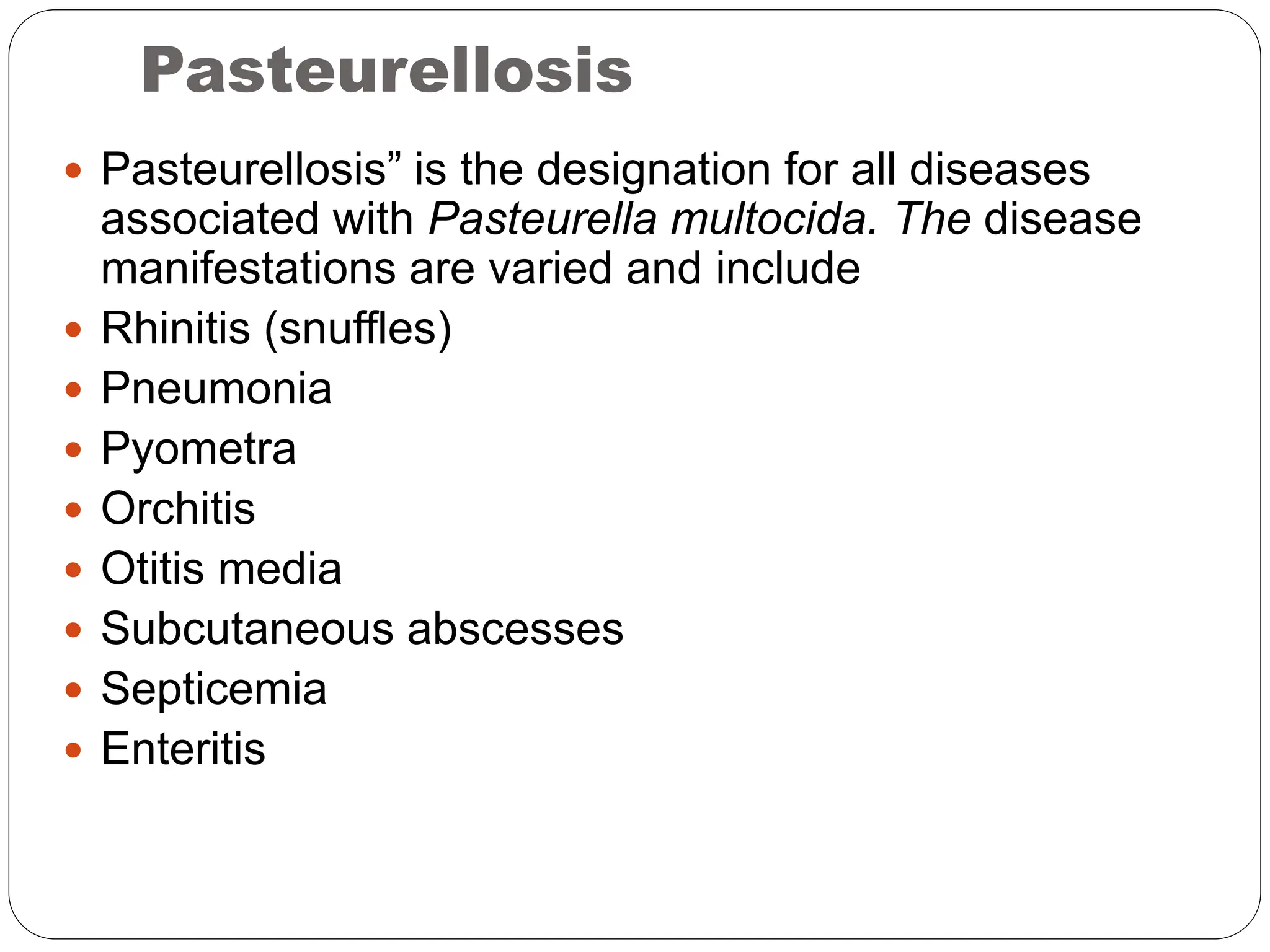 Domestic Rabbits Pasteurellosis.pptx
