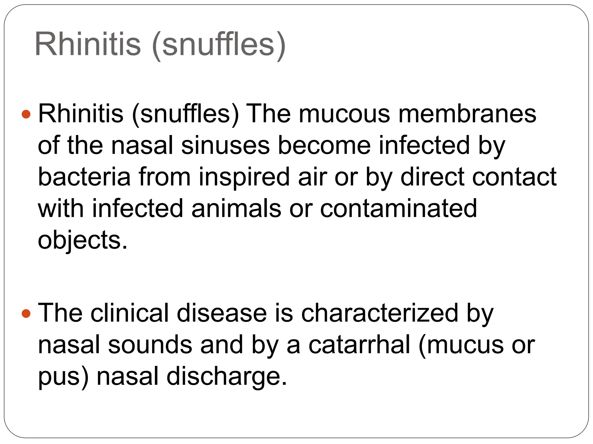 Domestic Rabbits Pasteurellosis.pptx