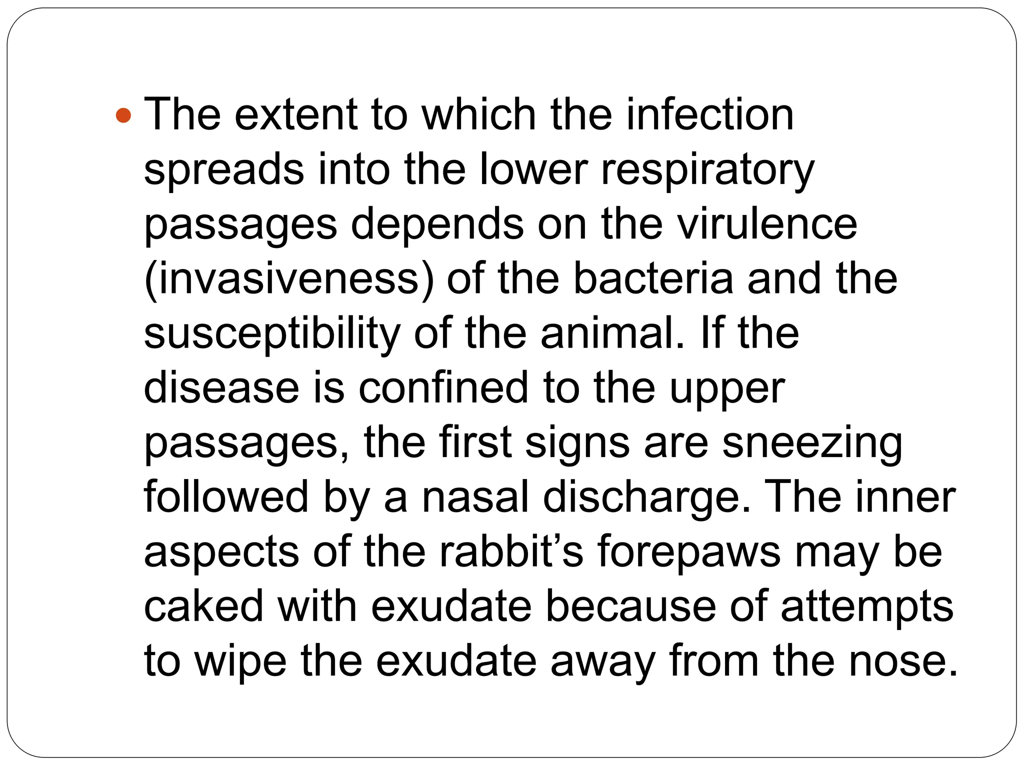 Domestic Rabbits Pasteurellosis.pptx