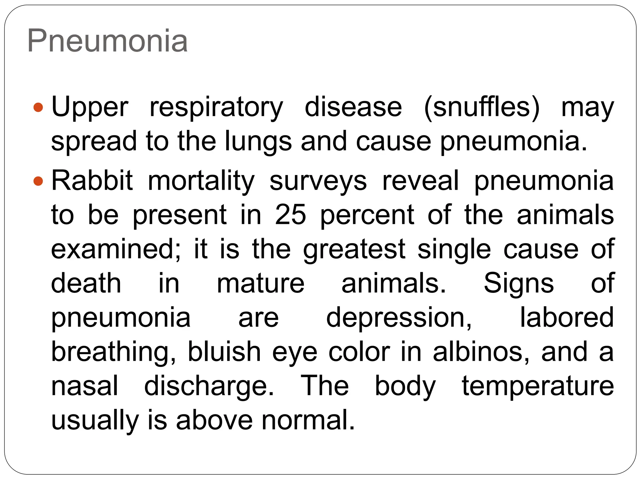 Domestic Rabbits Pasteurellosis.pptx