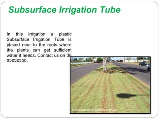 Domestic subsurface irrigation | PPT