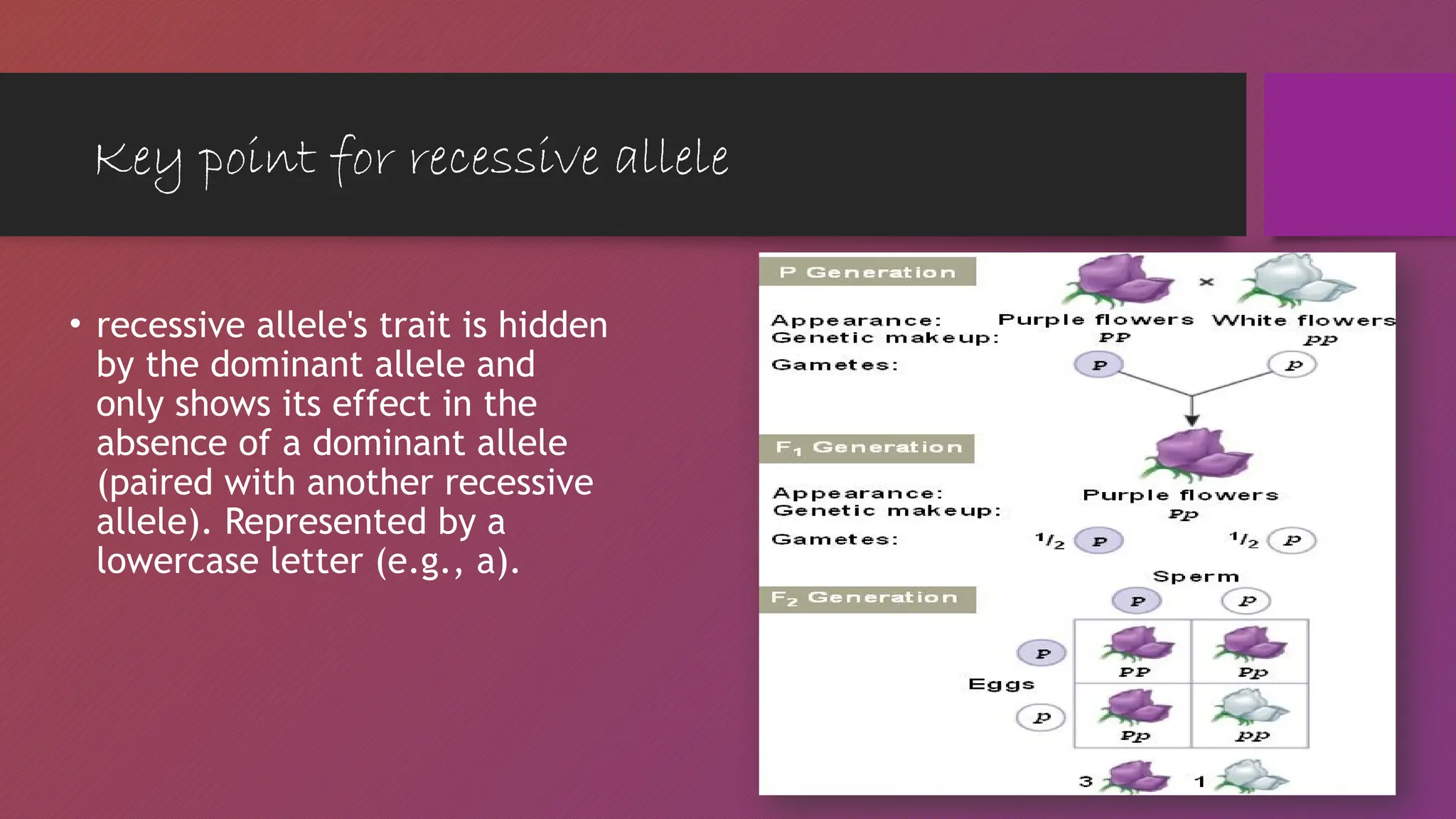 Dominance in plants .types of dominance with examples | PPTX