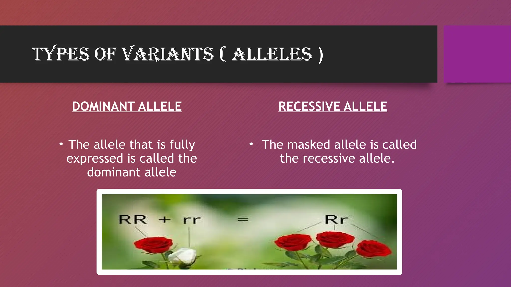Dominance in plants .types of dominance with examples | PPTX