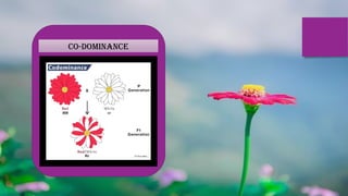 Dominance in plants .types of dominance with examples | PPTX