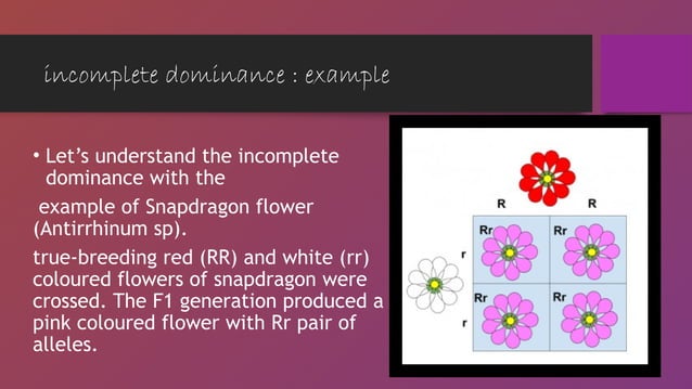 Dominance in plants .types of dominance with examples | PPTX