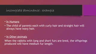 Dominance in plants .types of dominance with examples | PPTX