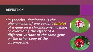 Dominance in plants .types of dominance with examples | PPTX