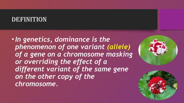Dominance in plants .types of dominance with examples | PPTX