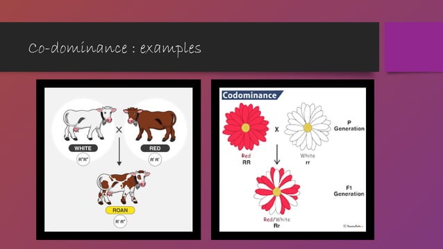 Dominance in plants .types of dominance with examples | PPTX