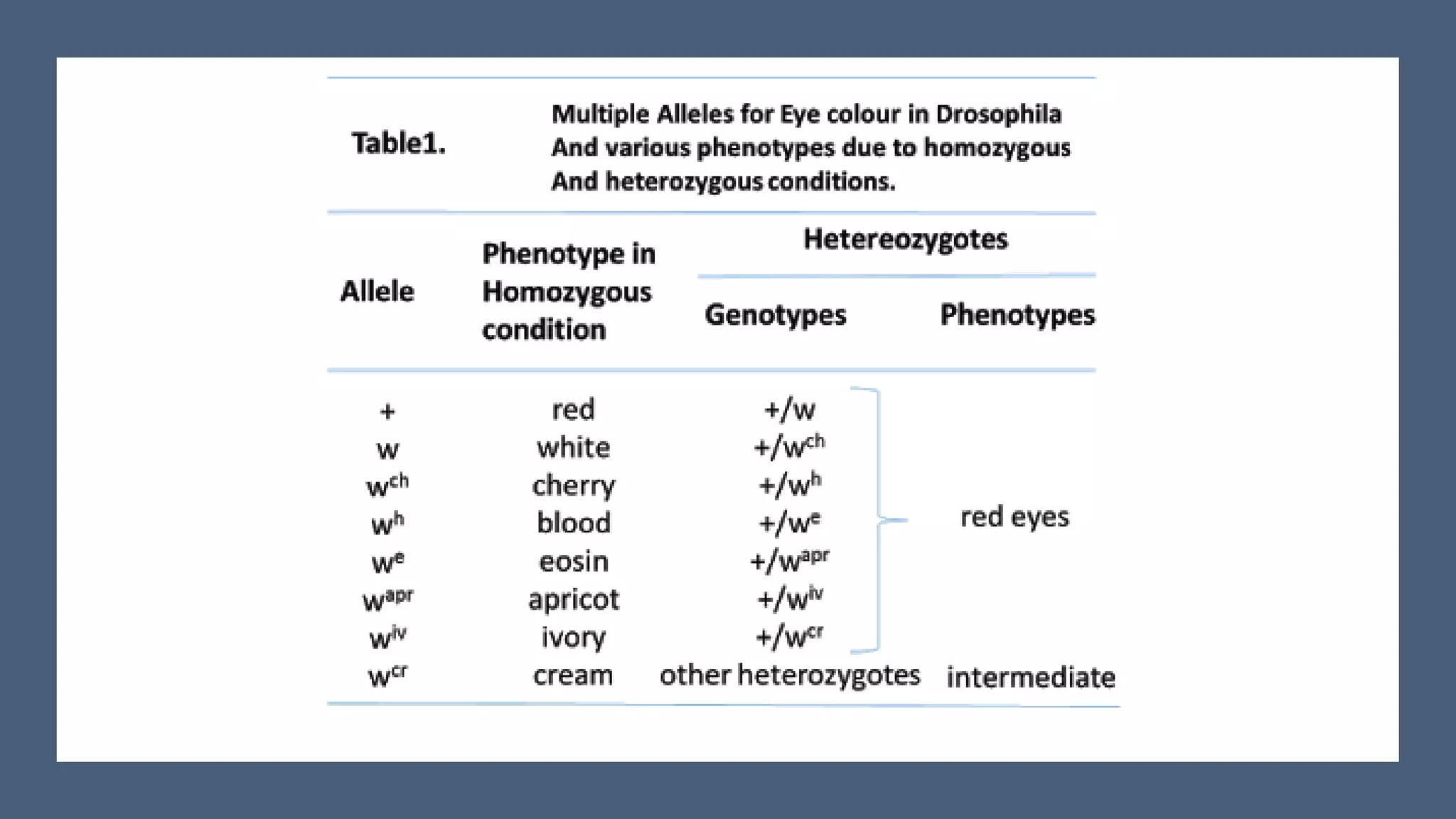 Dominance relation and multiple alleles in diploid organisms.pptx