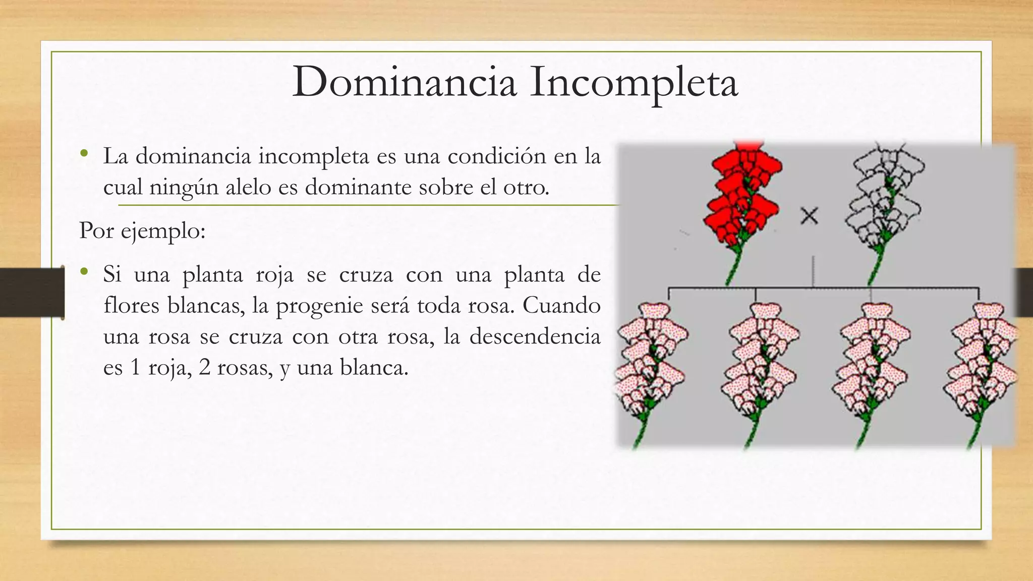 Dominancia incompleta y codominancia | PPT