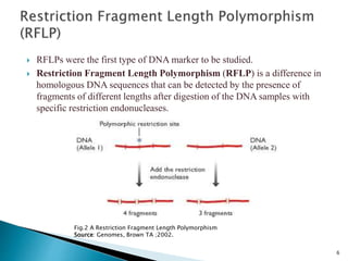 Dominant and codominant markers30nov | PPTX