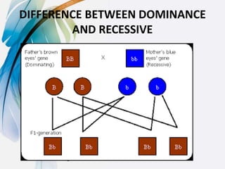 Dominant and recessive | PPTX