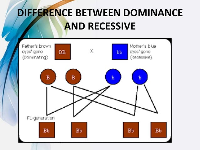 Dominant and recessive | PPTX