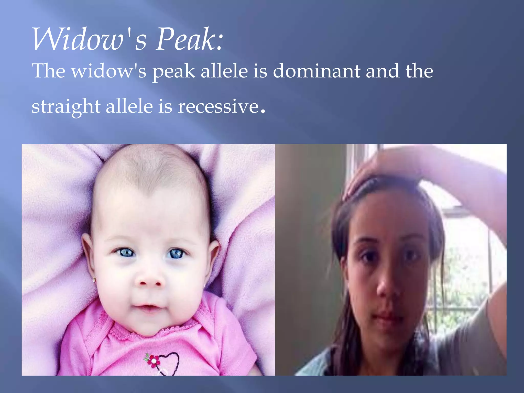Dominant and recessive traits in humans | PPTX