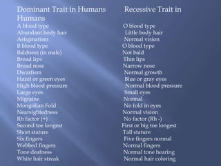 Dominant and recessive traits in humans | PPTX