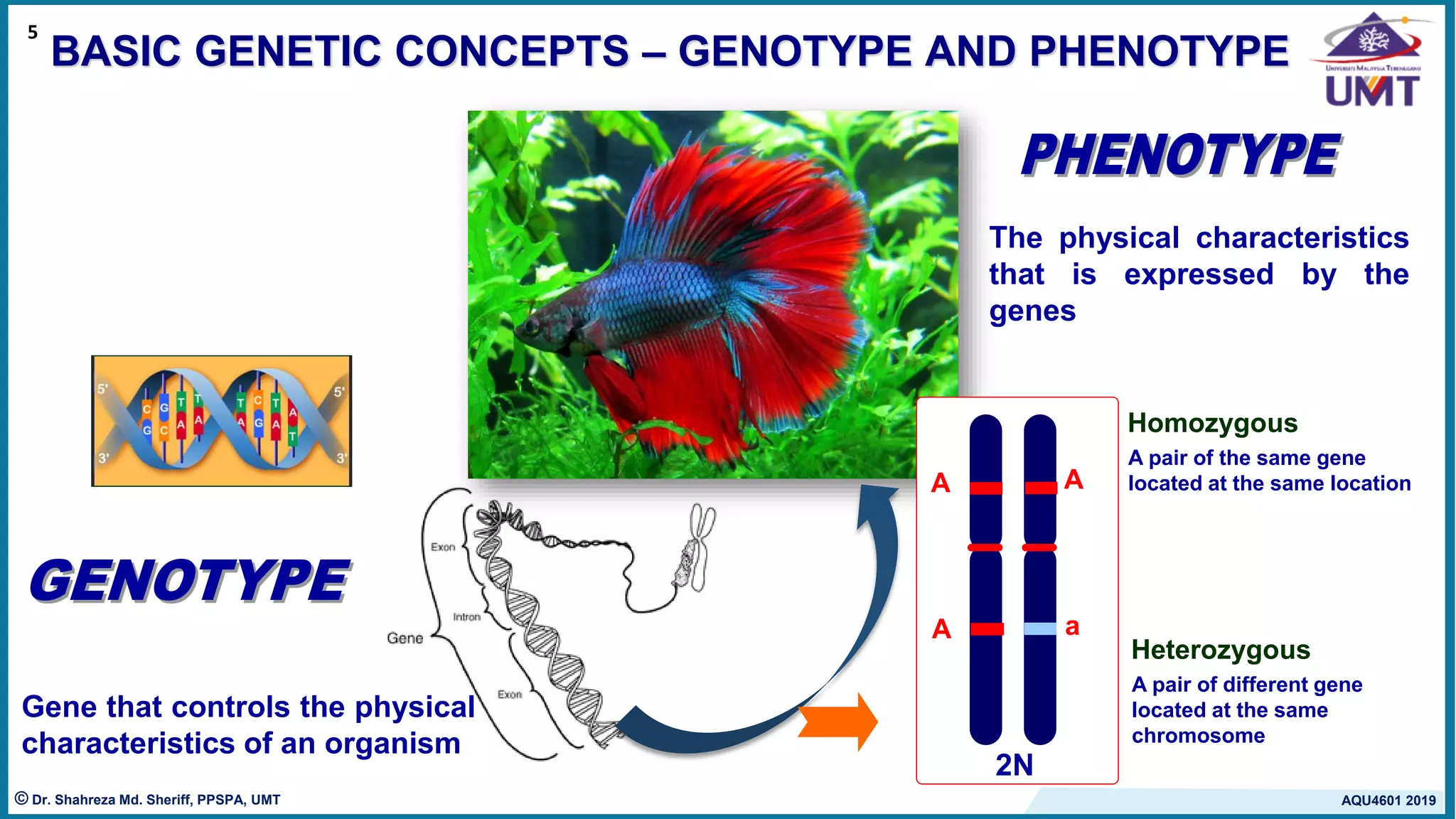 Dominant gene action notes | PPT