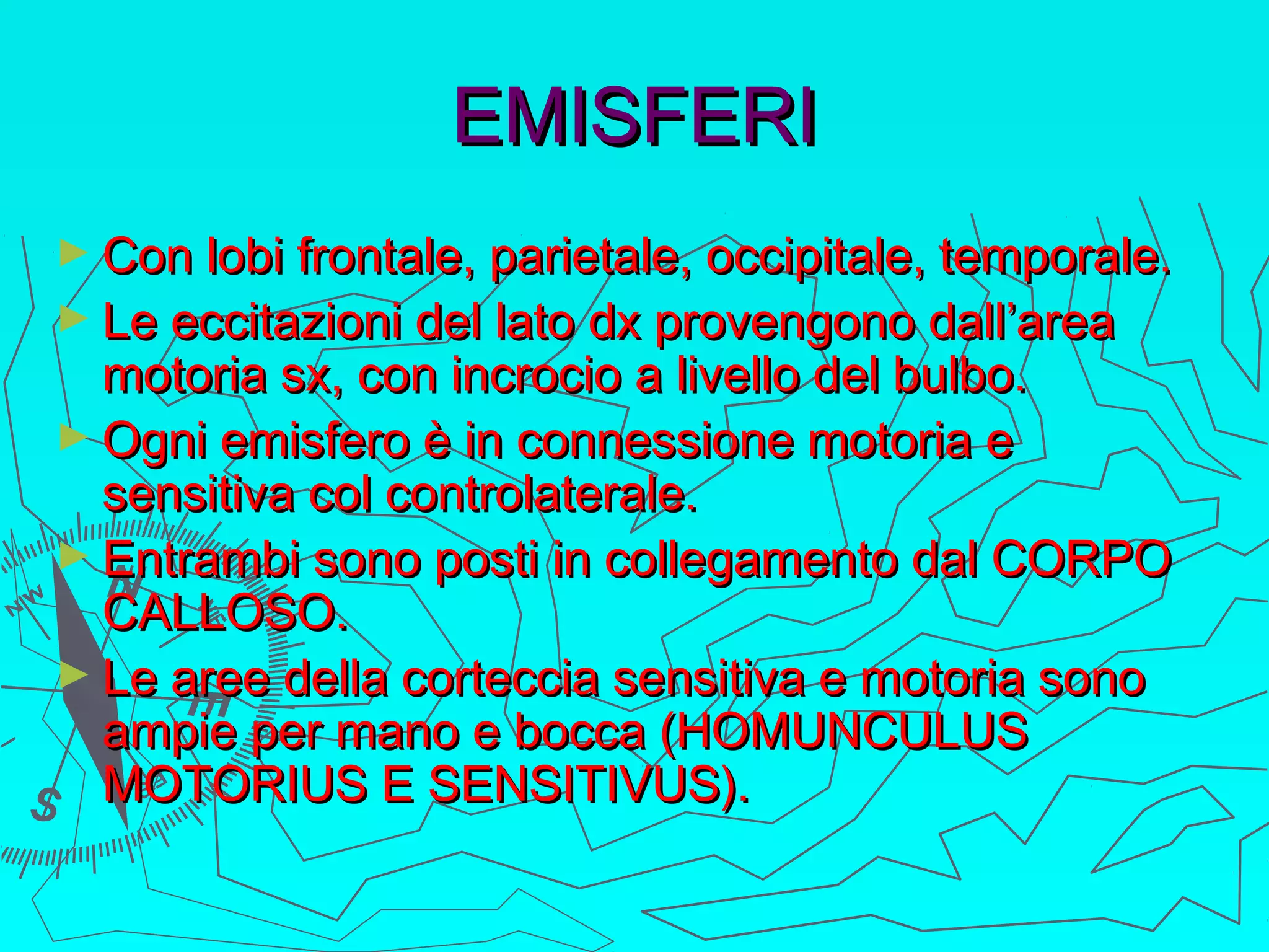 Dominanza e lateralita_ | PPT