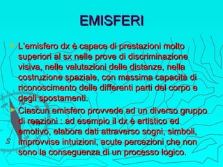 Dominanza e lateralita_ | PPT