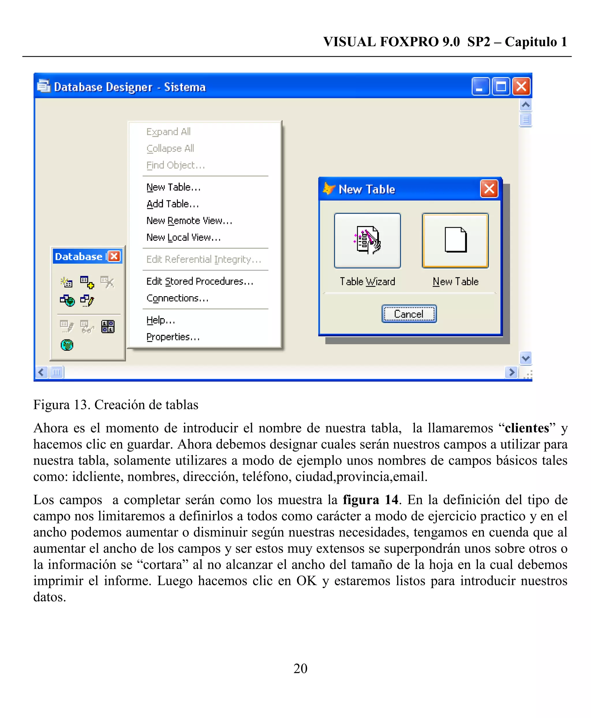visual fox pro desde cero com 9.0 | PDF | Programming Languages | Computing