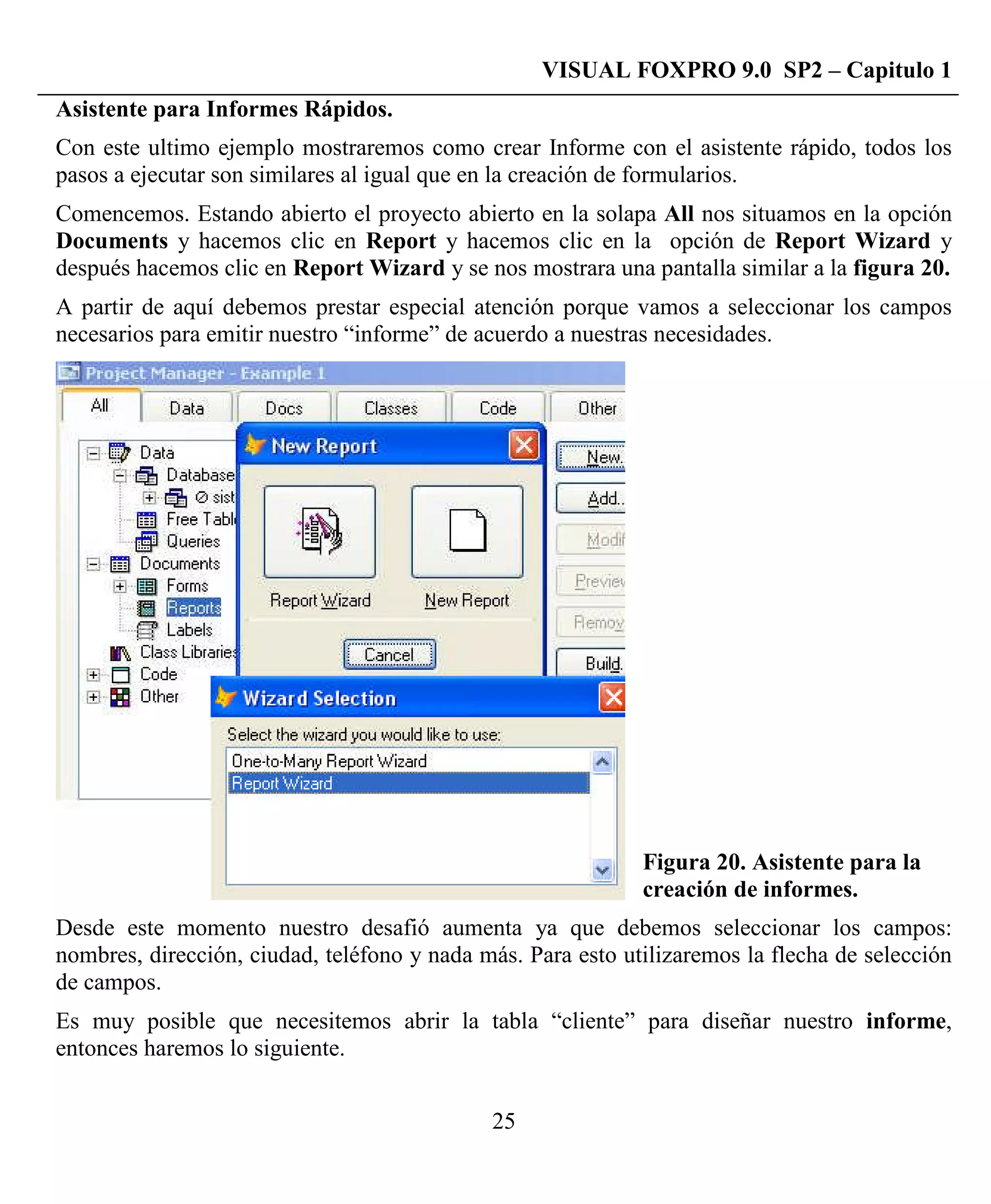 visual fox pro desde cero com 9.0 | PDF | Programming Languages | Computing