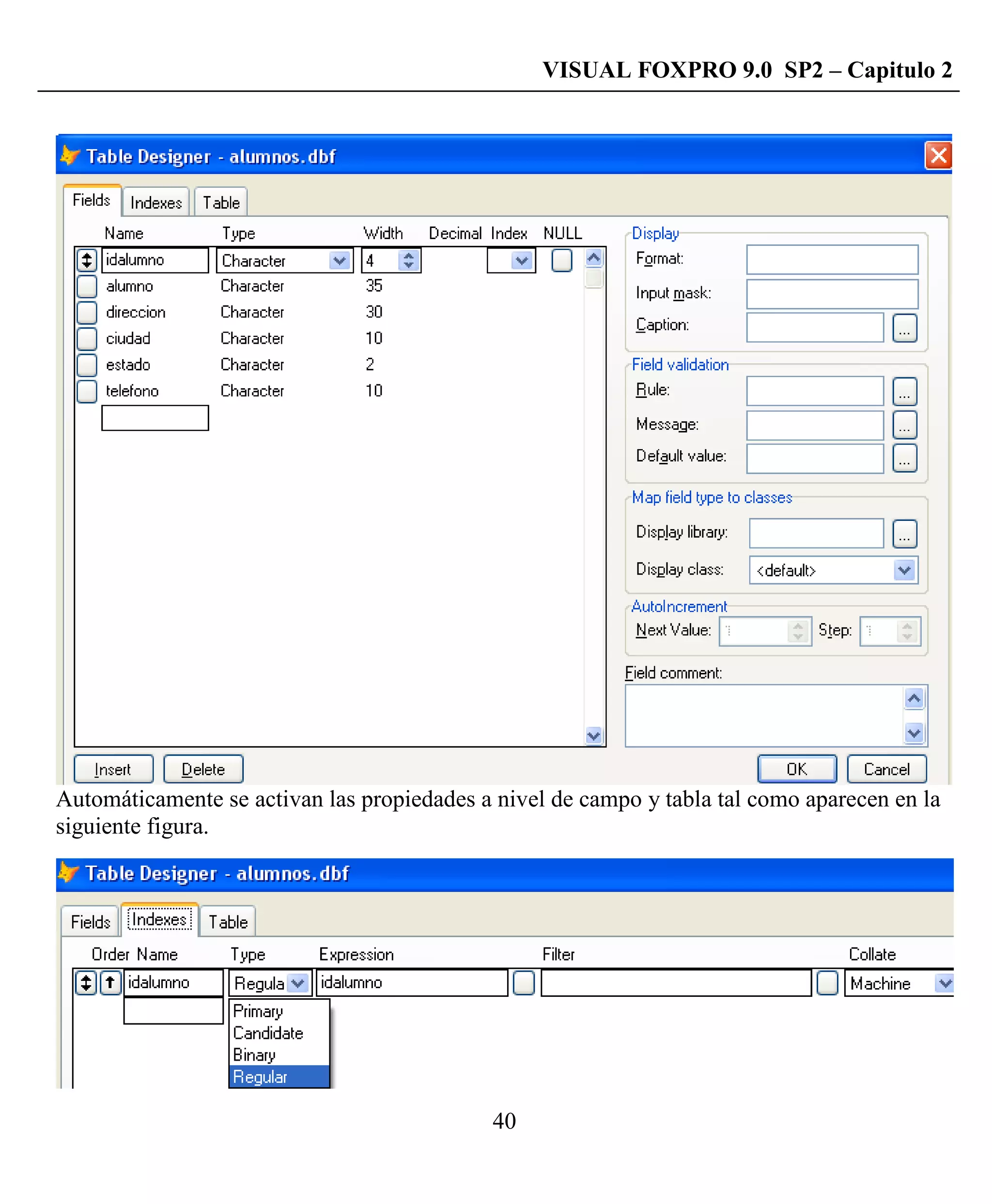 visual fox pro desde cero com 9.0 | PDF | Programming Languages | Computing