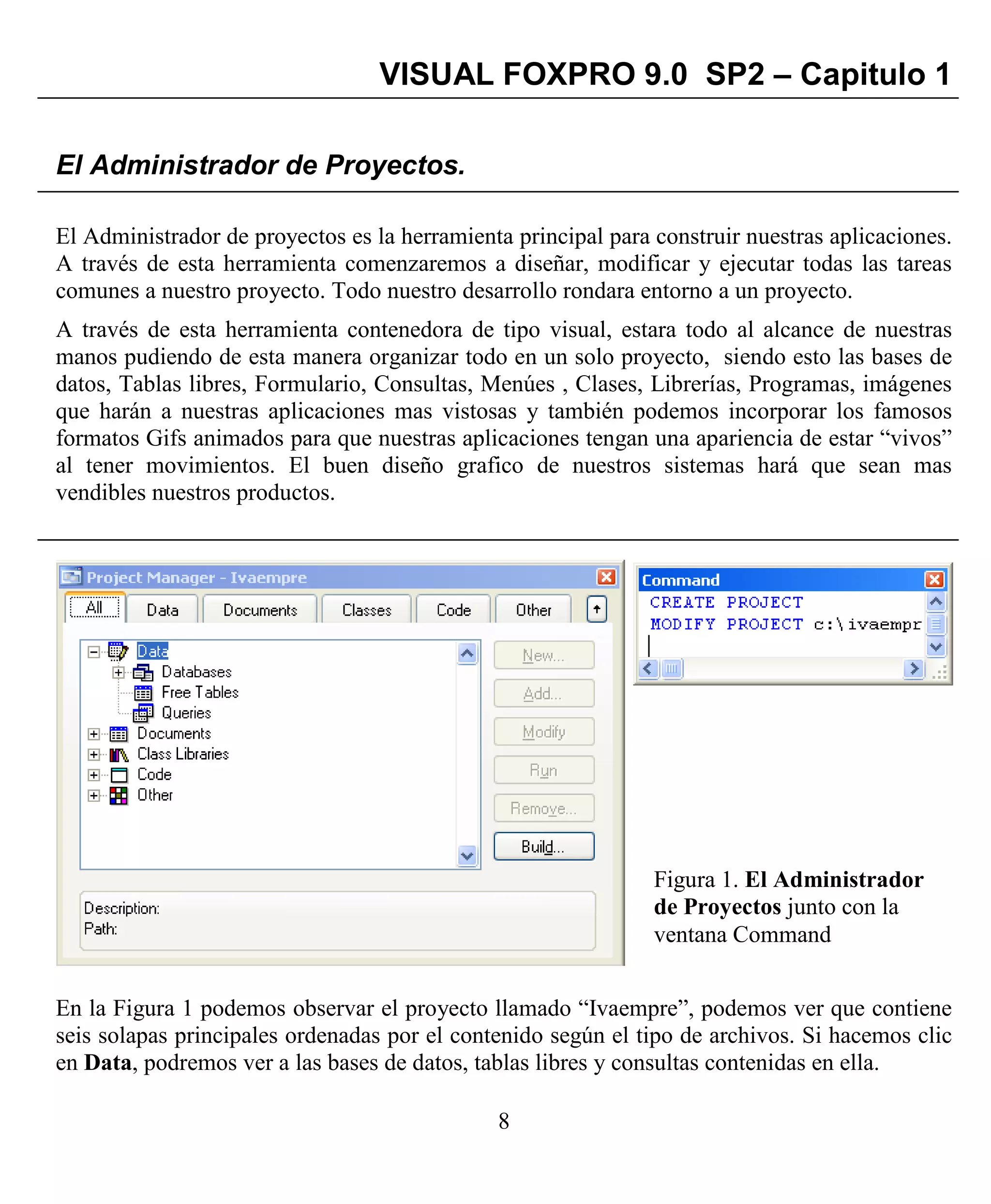 visual fox pro desde cero com 9.0 | PDF | Programming Languages | Computing