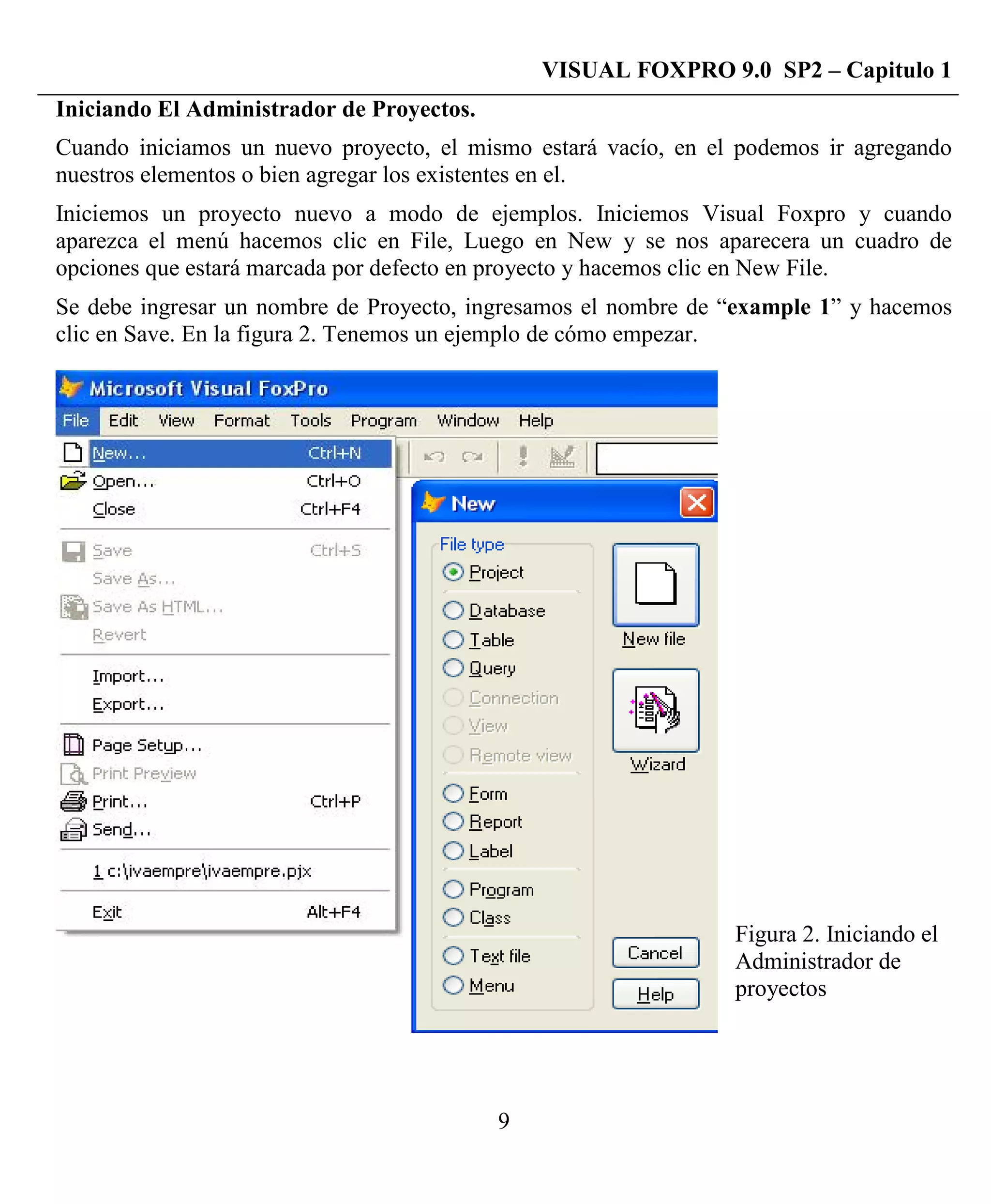 visual fox pro desde cero com 9.0 | PDF | Programming Languages | Computing