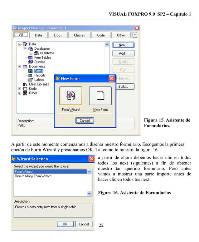 visual fox pro desde cero com 9.0 | PDF | Programming Languages | Computing