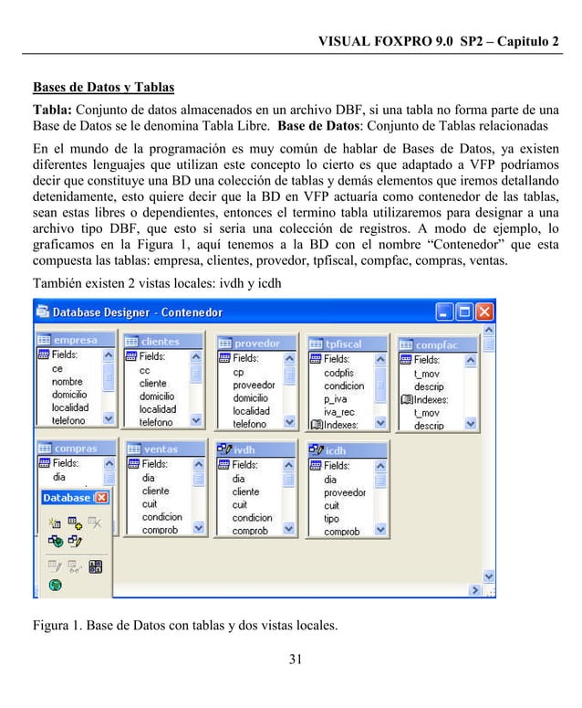 visual fox pro desde cero com 9.0 | PDF | Programming Languages | Computing
