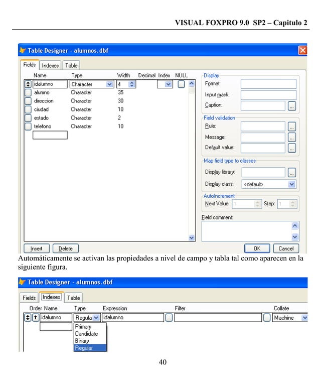 visual fox pro desde cero com 9.0 | PDF | Programming Languages | Computing