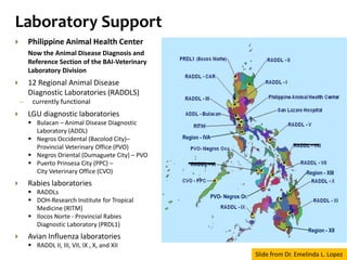 Domingo current status of tads philippines manila 38 slides | PPTX