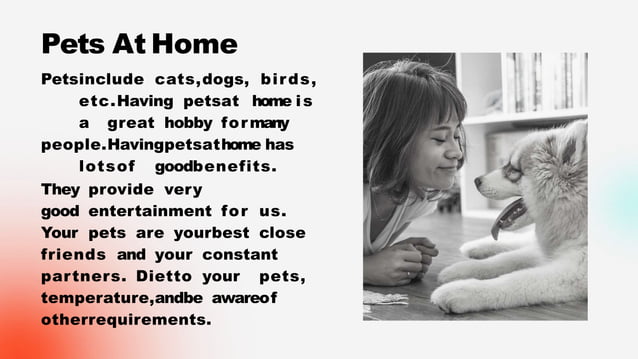 Dominik hulliger | how to take care of pet animals-ppt | PPTX