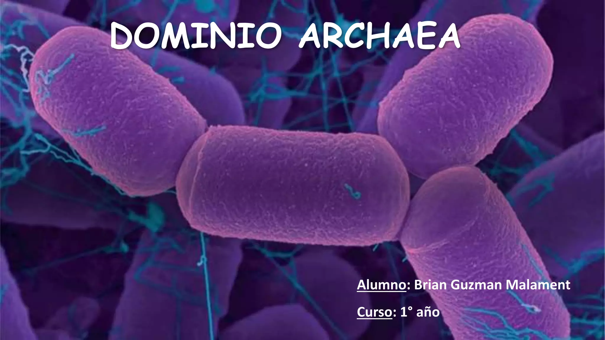 Dominio Archaea.pptx Brian Guzman Malament 1° año (C.A.B.A.) | PPTX