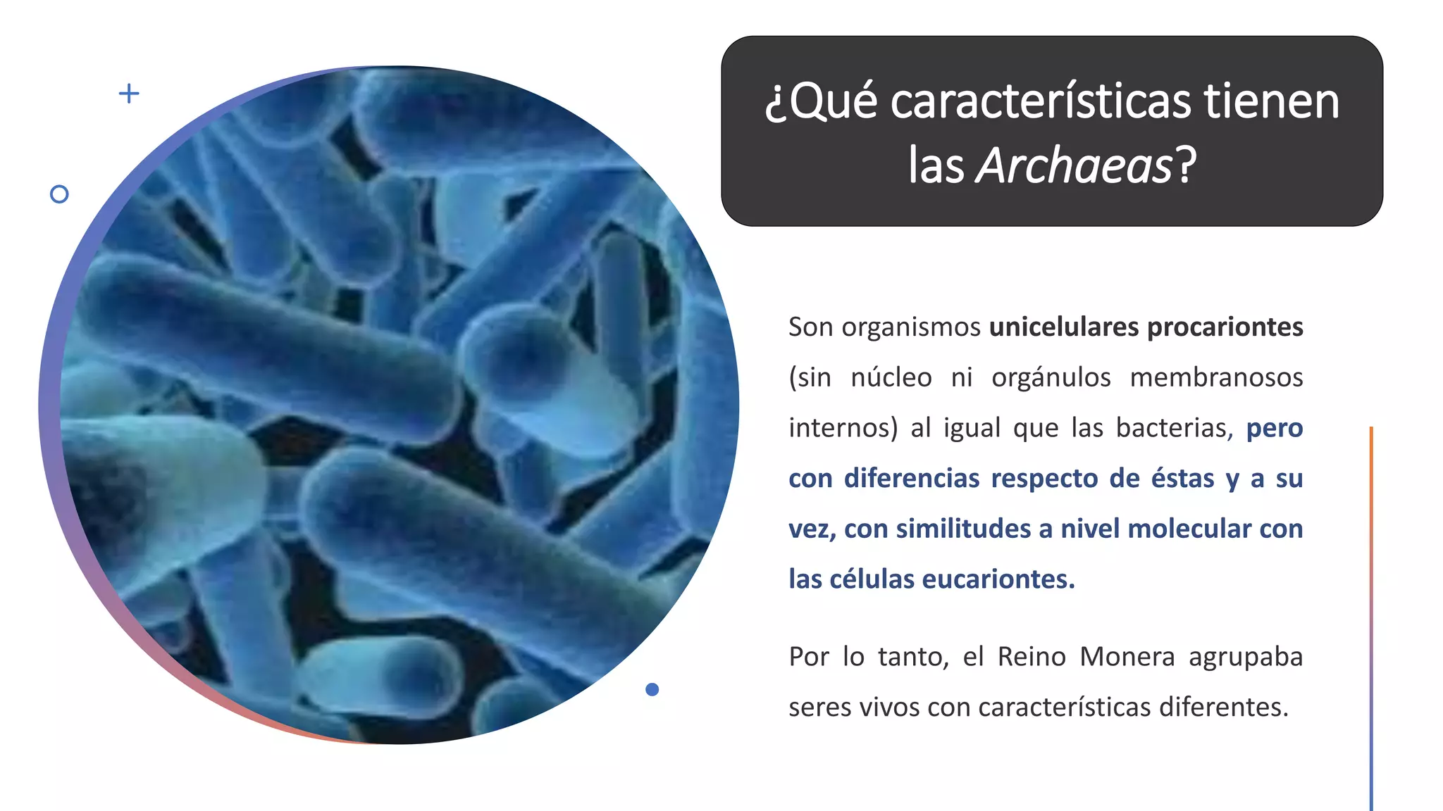 Dominio Archaea.pptx Brian Guzman Malament 1° año (C.A.B.A.) | PPTX