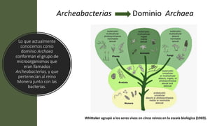 Dominio Archaea.pptx Brian Guzman Malament 1° año (C.A.B.A.) | PPTX