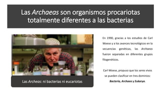 Dominio Archaea.pptx Brian Guzman Malament 1° año (C.A.B.A.) | PPTX